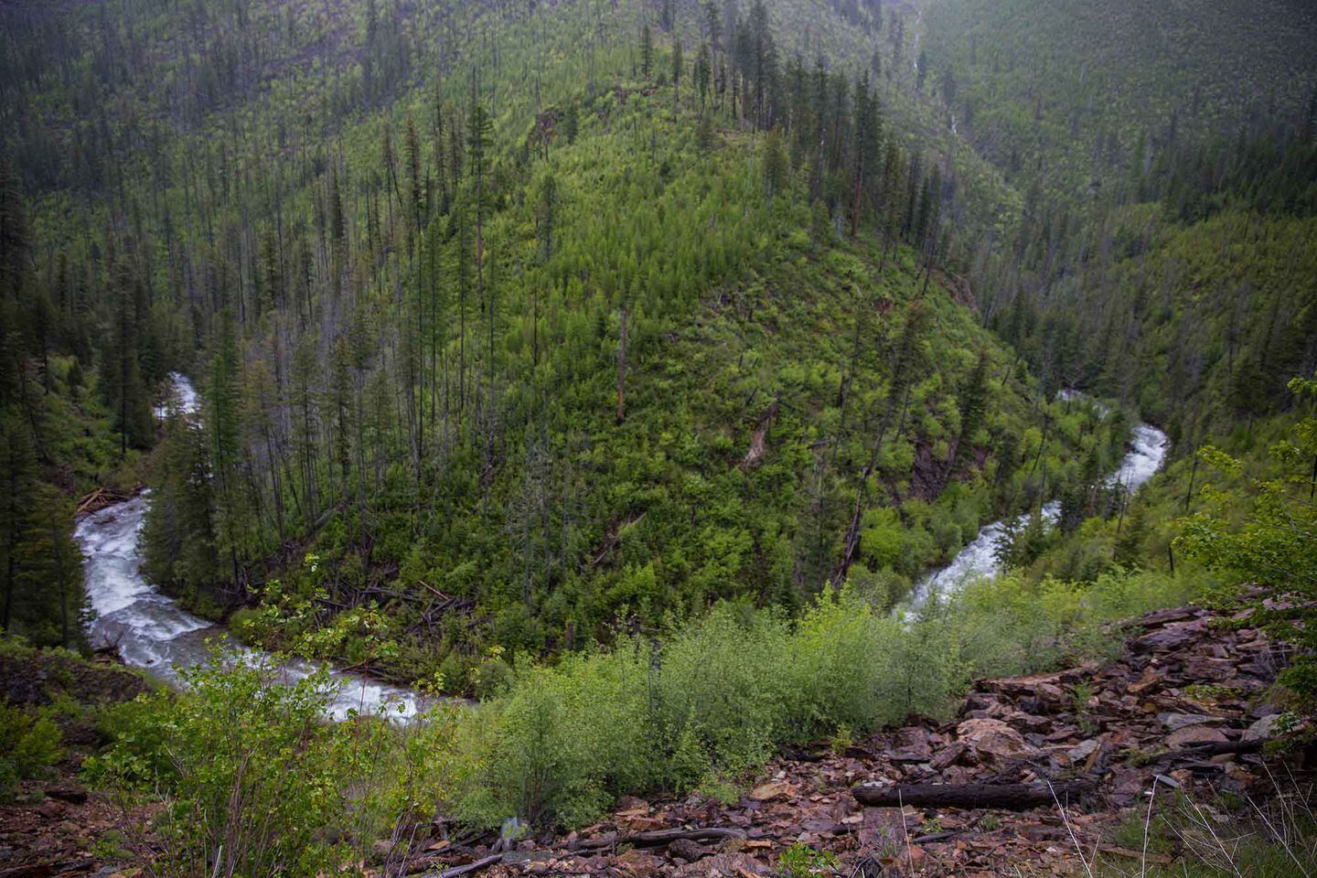 Gallery: Lolo National Forest Ride | UTV Driver